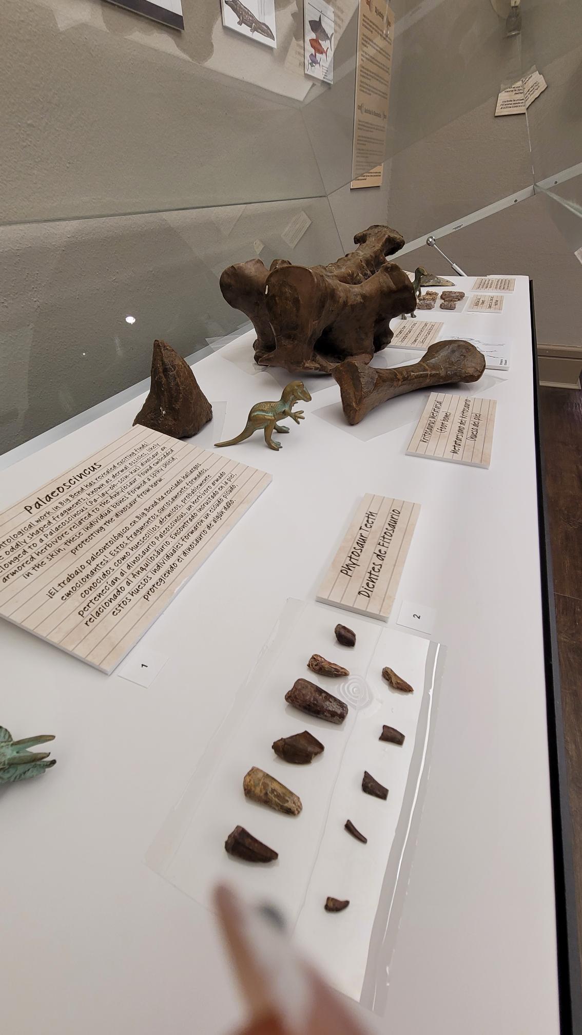 Centennial Dinosaurs